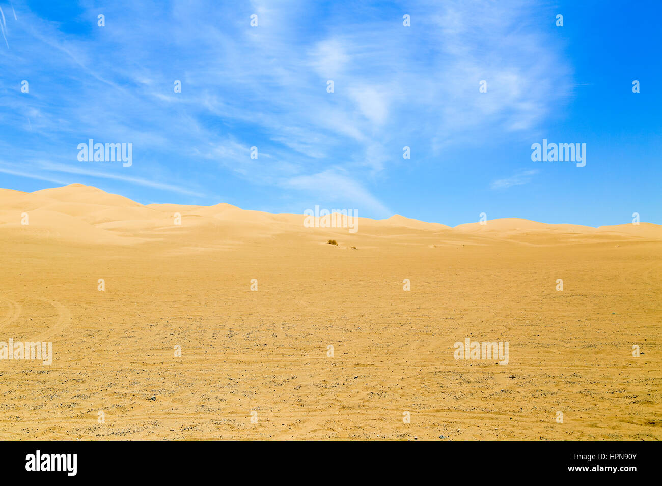 Algodones hi-res stock photography and images - Alamy