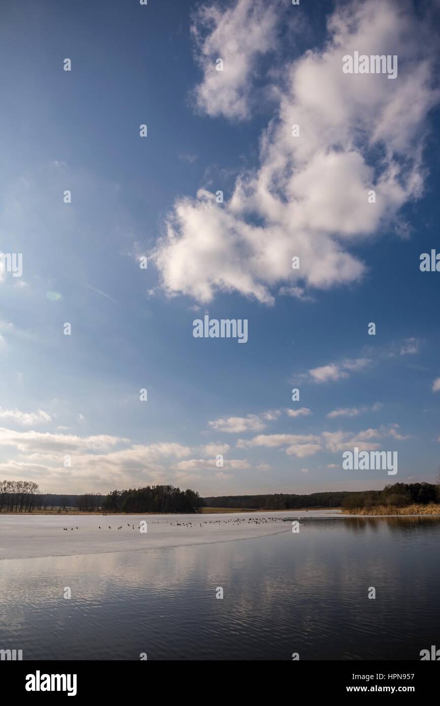 Vertical photo of very early spring natural scene. Landscape with ...