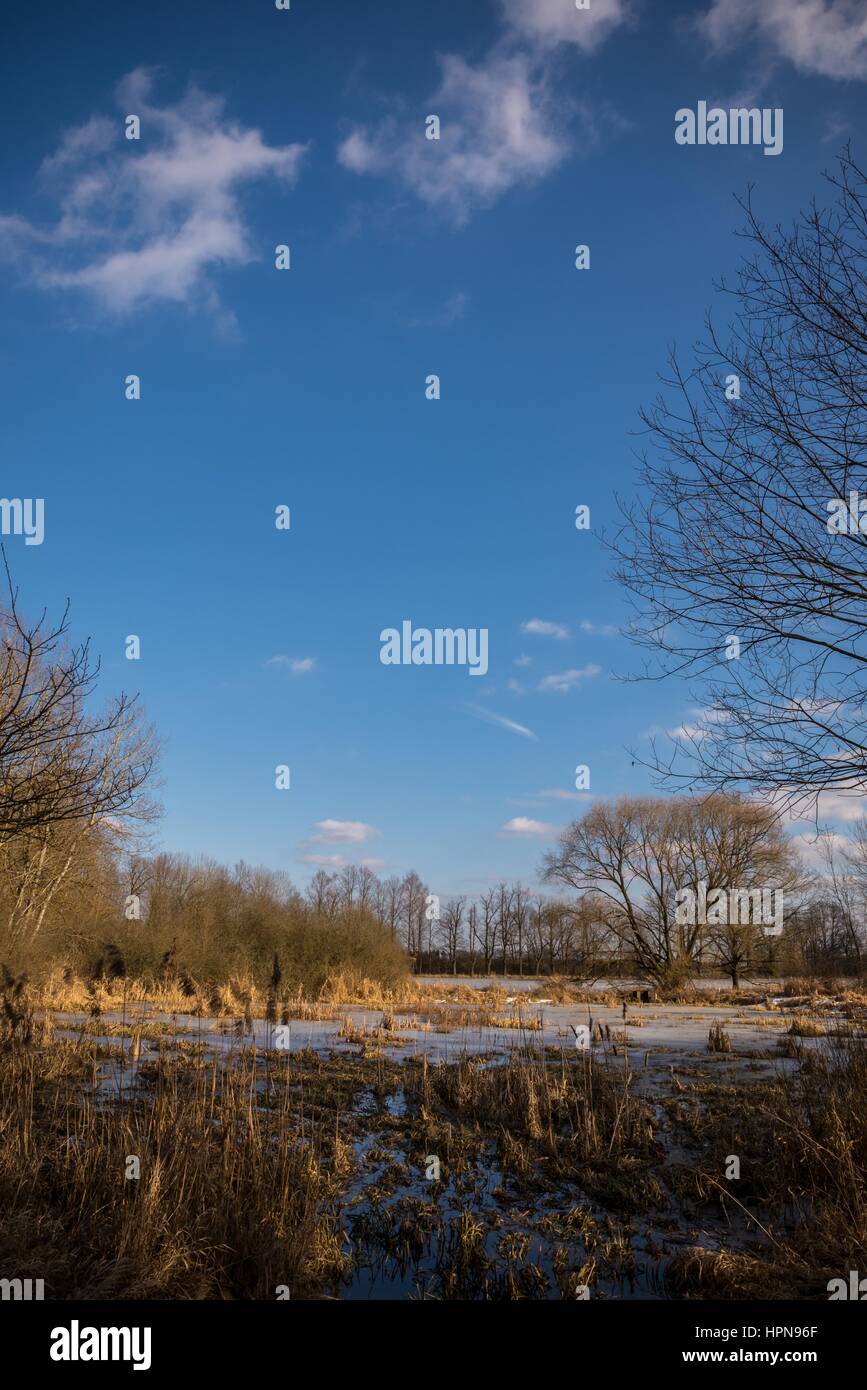 Vertical photo of very early spring natural scene. Landscape with ...