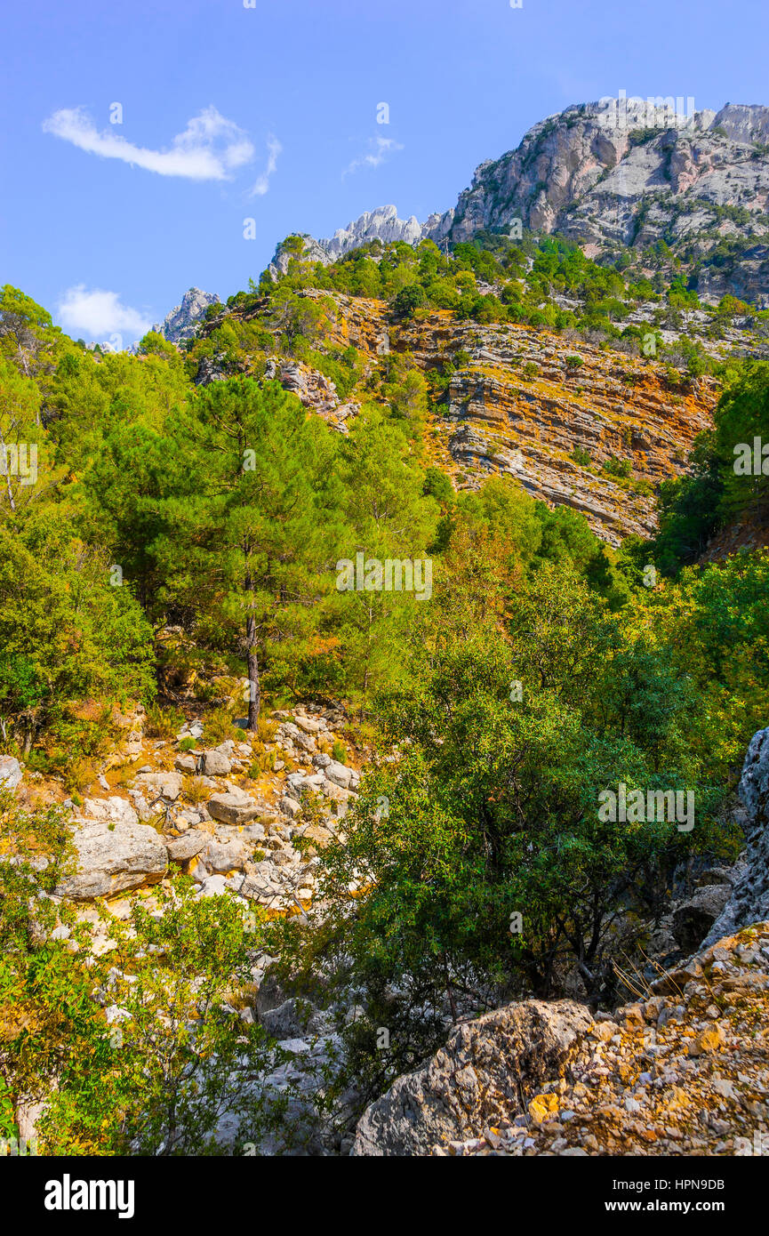 Parque natural de cazorla hi-res stock photography and images - Alamy