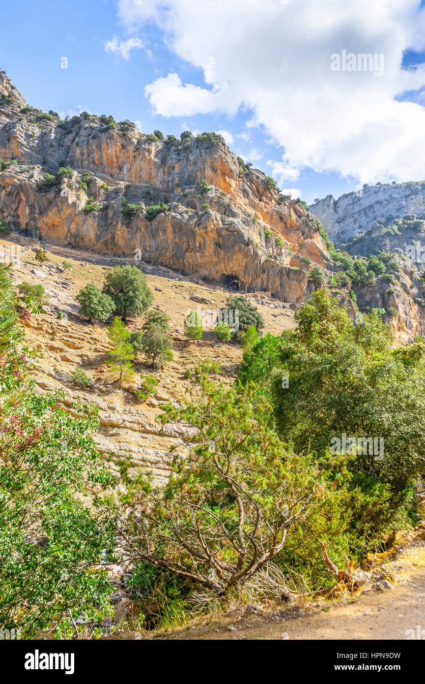 Parque natural de cazorla hi-res stock photography and images - Alamy