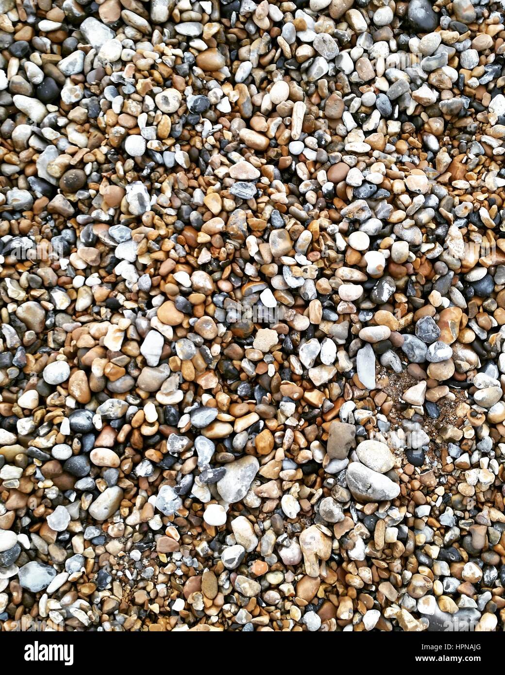 Rocks on the Beach Stock Photo - Alamy