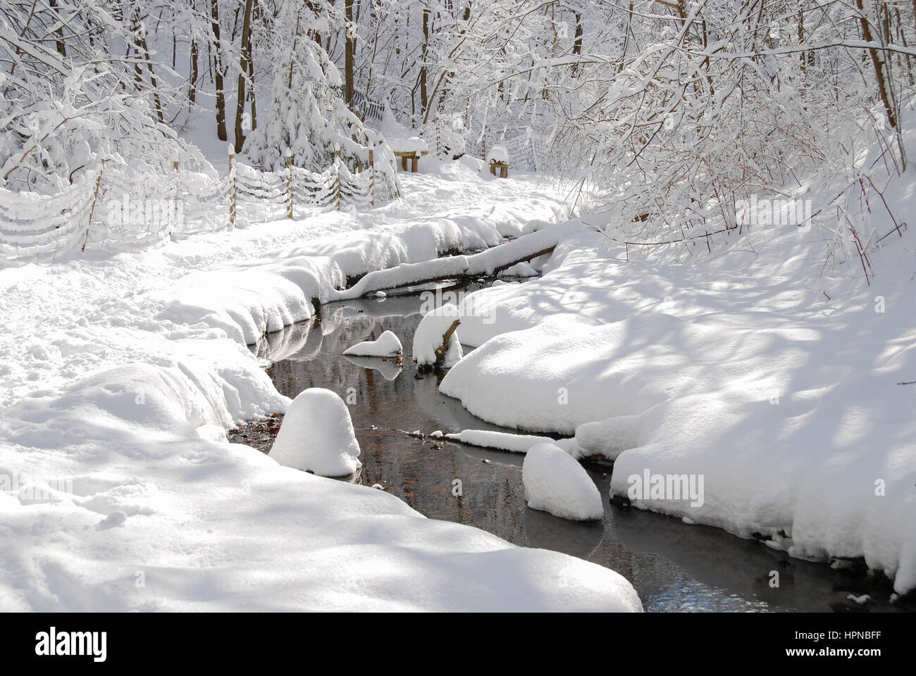 A forested winter snow scene after a heavy snowfall in a city of ...