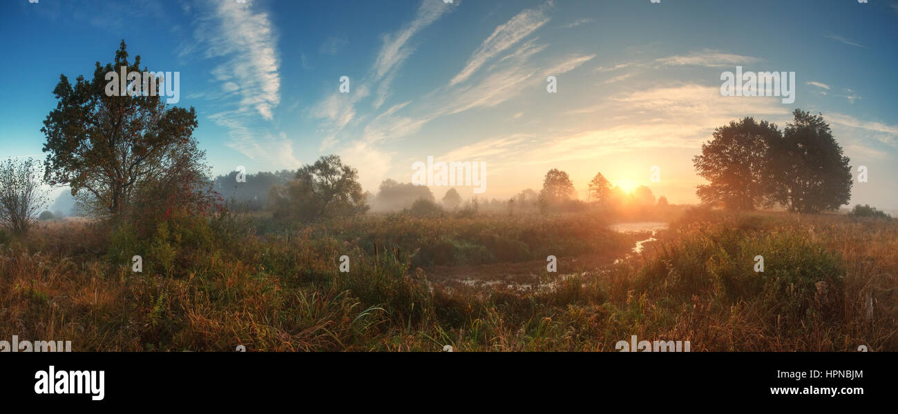 Sun rising over green grass hi-res stock photography and images - Alamy