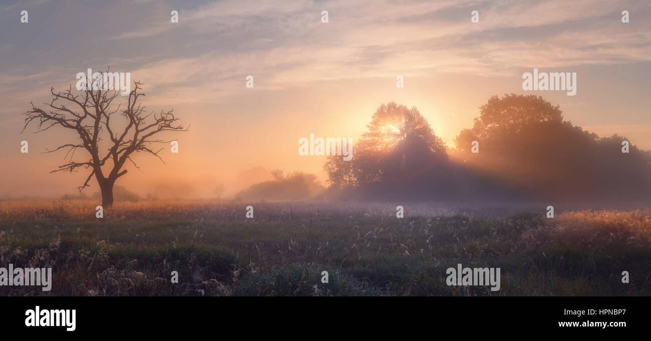 Beautiful autumn landscape with mist and sunbeams Stock Photo - Alamy