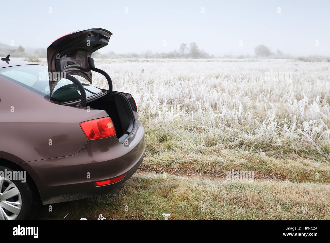 Open trunk of brown sedan on natural background Stock Photo - Alamy