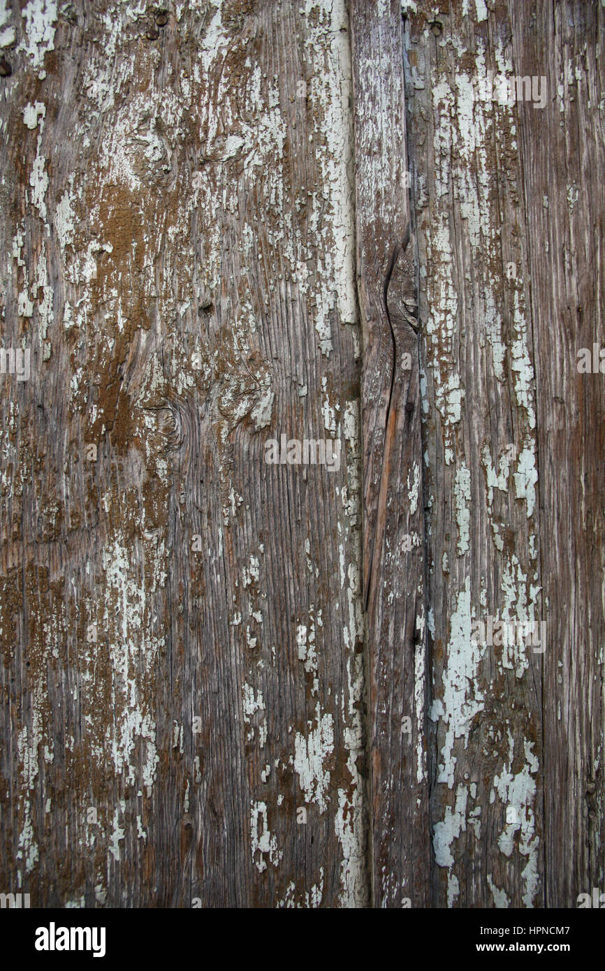 Weathered plant material hi-res stock photography and images - Alamy