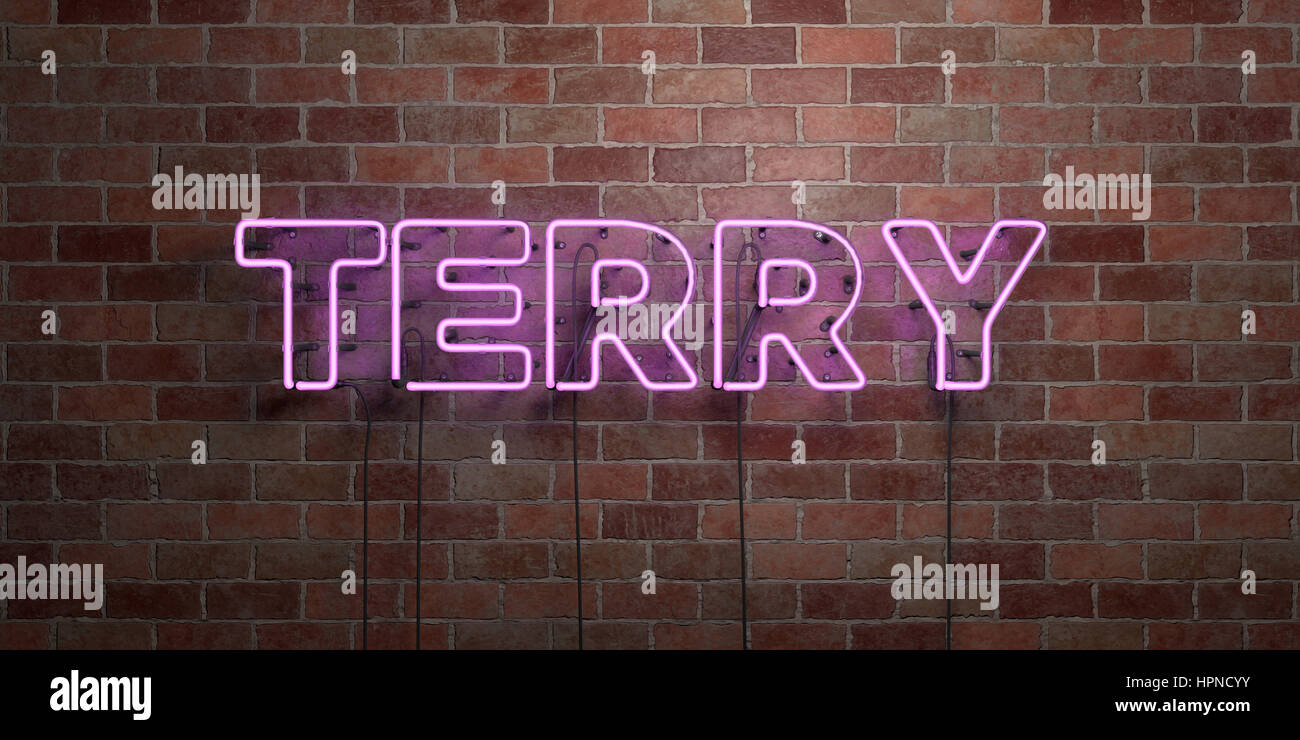 TERRY - fluorescent Neon tube Sign on brickwork - Front view - 3D ...
