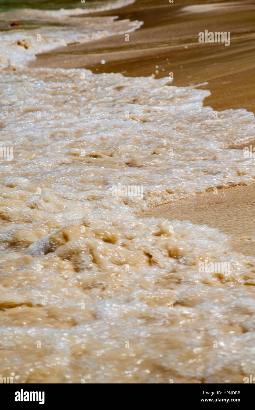 abstract foam in the beach thailand kho tao bay coastline and south ...