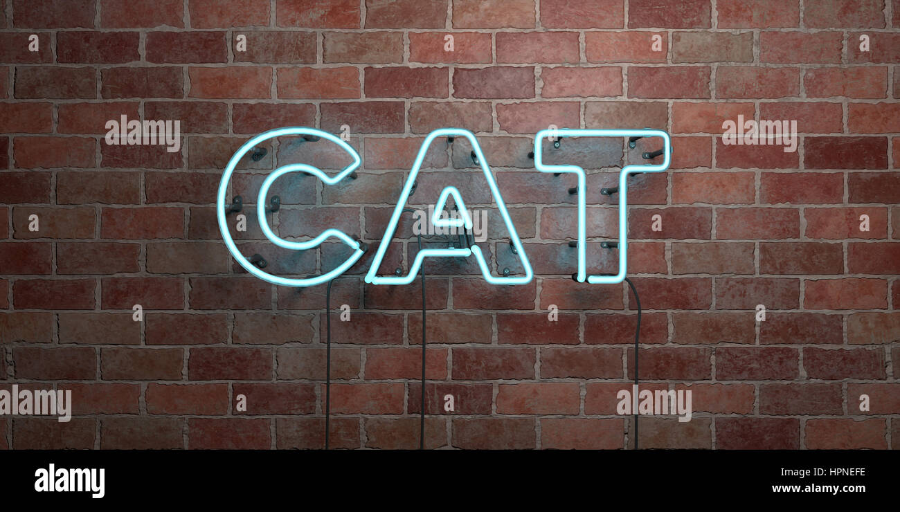 CAT - fluorescent Neon tube Sign on brickwork - Front view - 3D ...