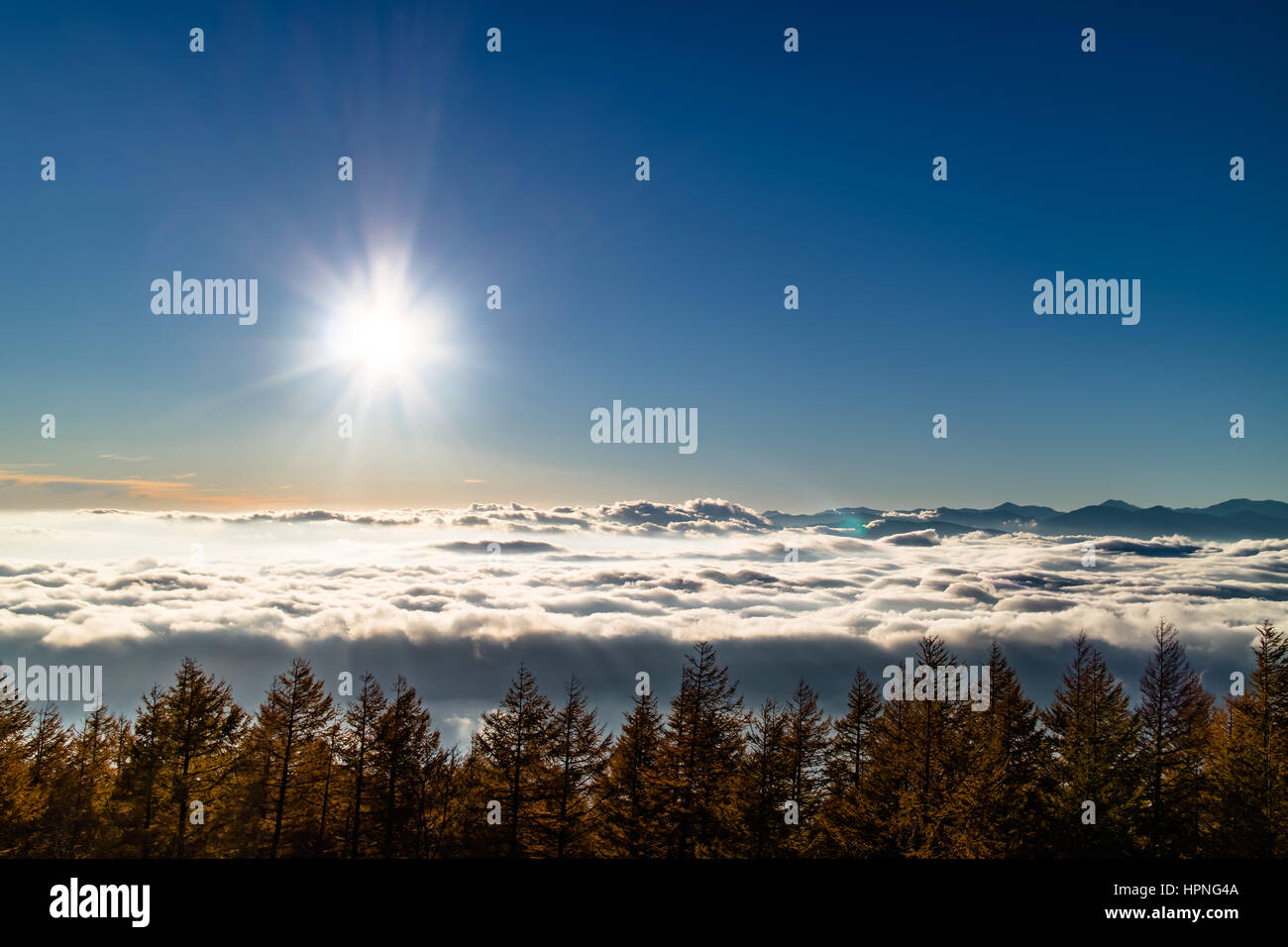 Rising sun japan fuji hi-res stock photography and images - Alamy