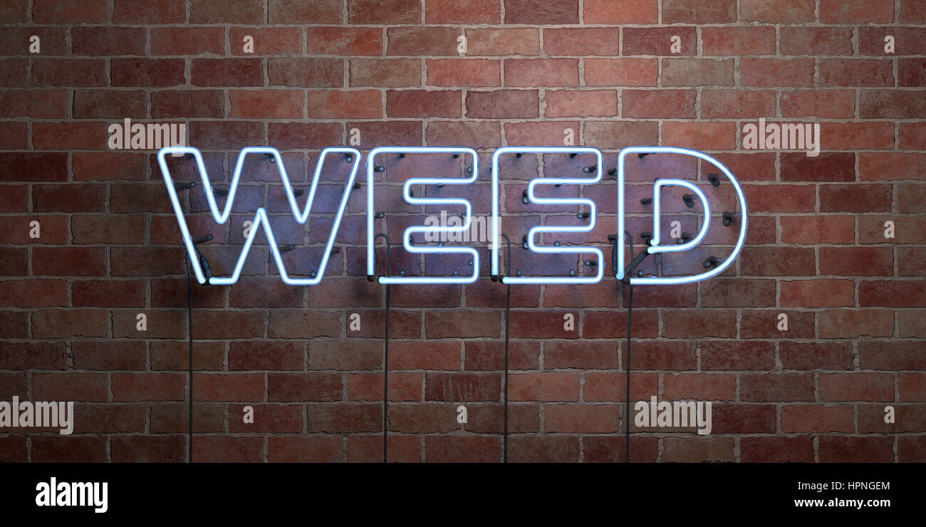 WEED - fluorescent Neon tube Sign on brickwork - Front view - 3D ...
