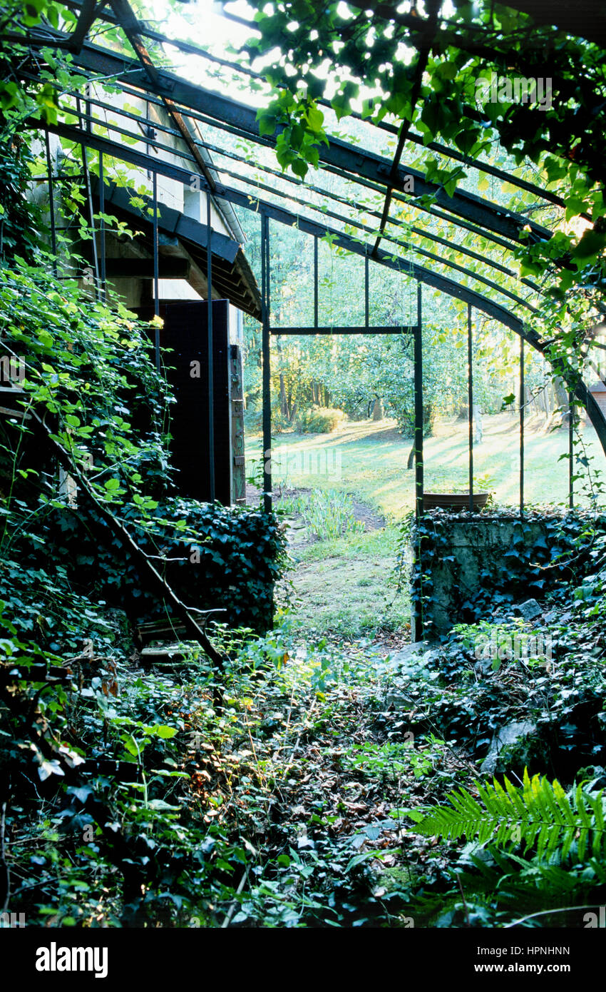 Overgrown greenhouse hi-res stock photography and images - Alamy