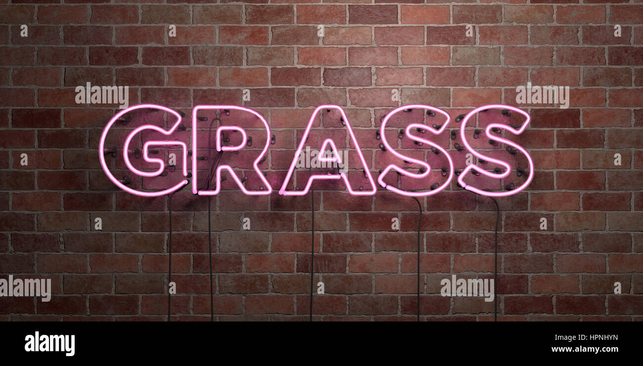 GRASS - fluorescent Neon tube Sign on brickwork - Front view - 3D ...