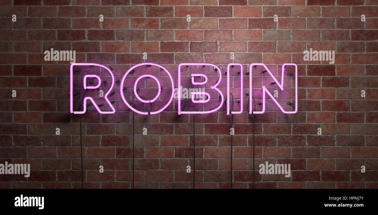ROBIN - fluorescent Neon tube Sign on brickwork - Front view - 3D ...