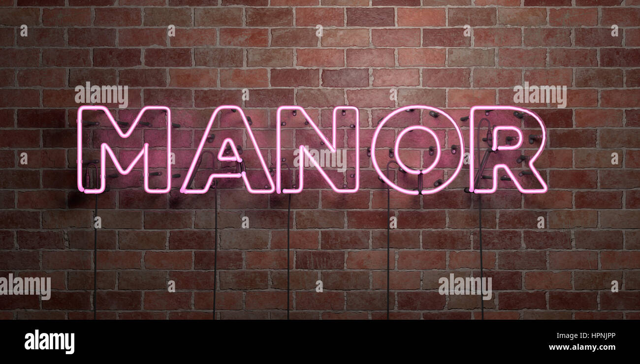 MANOR - fluorescent Neon tube Sign on brickwork - Front view - 3D ...