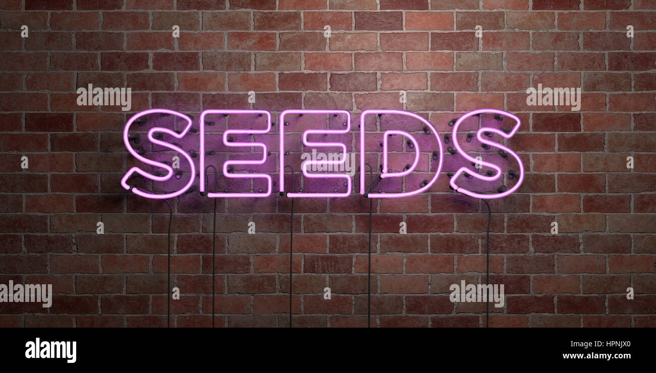 SEEDS - fluorescent Neon tube Sign on brickwork - Front view - 3D ...