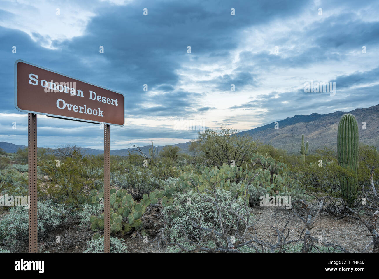 Sonoran Desert Overlook sign in Saguaro National Park East near Tucson ...