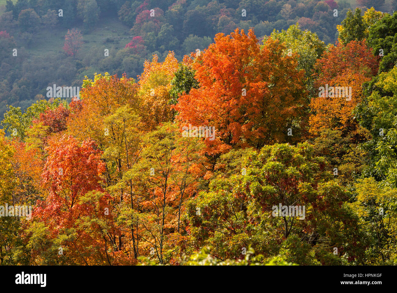 West virginia fall foliage hi-res stock photography and images - Alamy