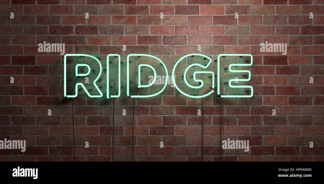 RIDGE - fluorescent Neon tube Sign on brickwork - Front view - 3D ...