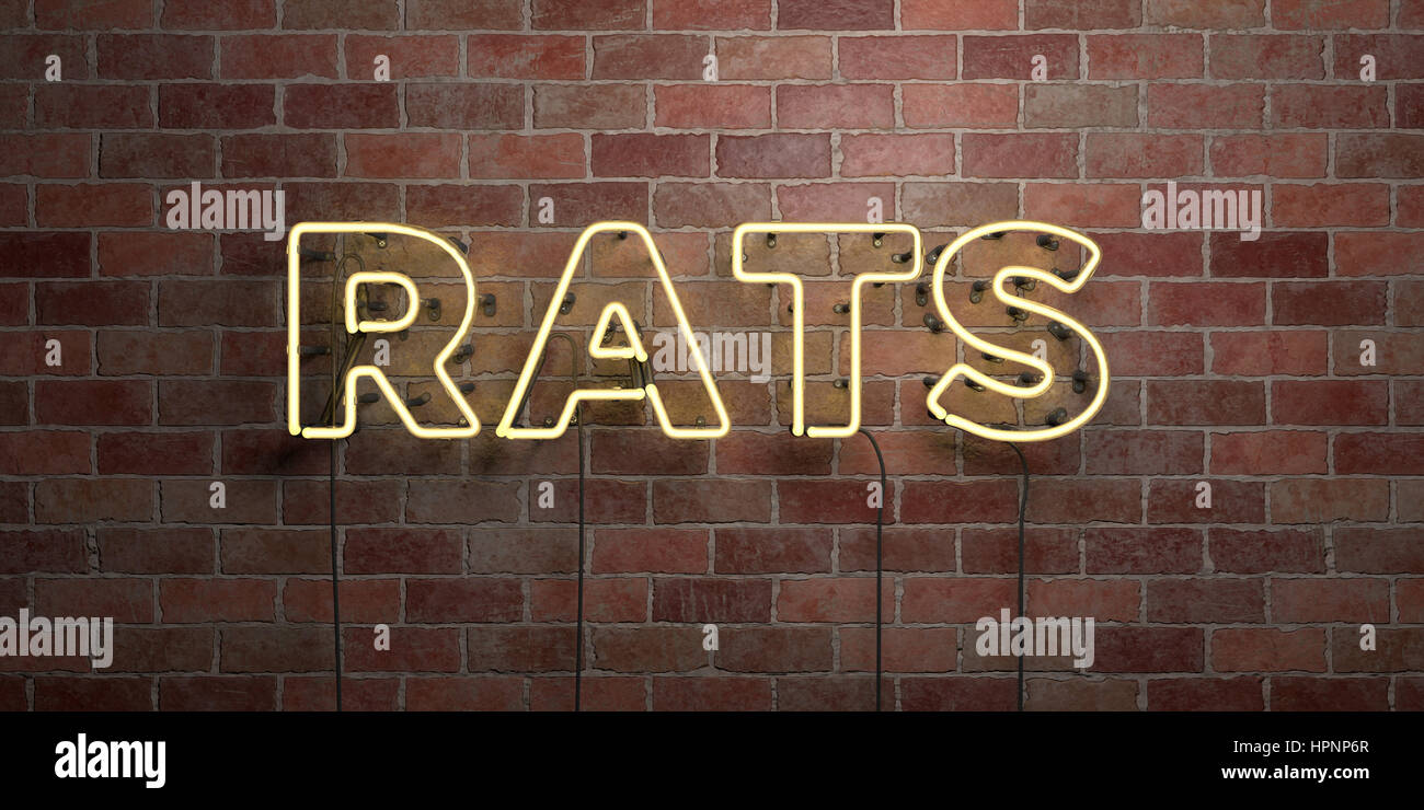 RATS - fluorescent Neon tube Sign on brickwork - Front view - 3D ...