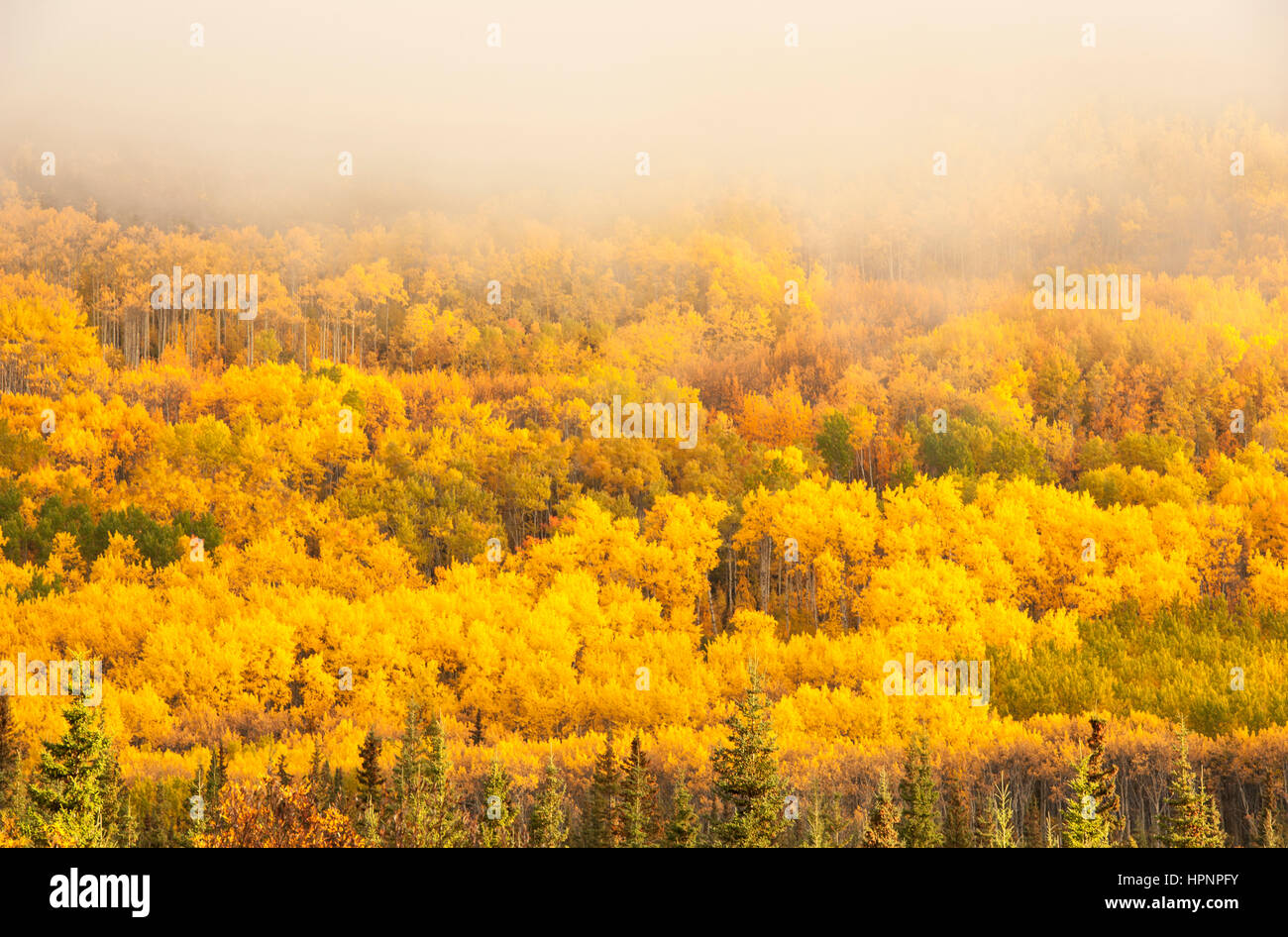 Yukon coastal range hi-res stock photography and images - Alamy