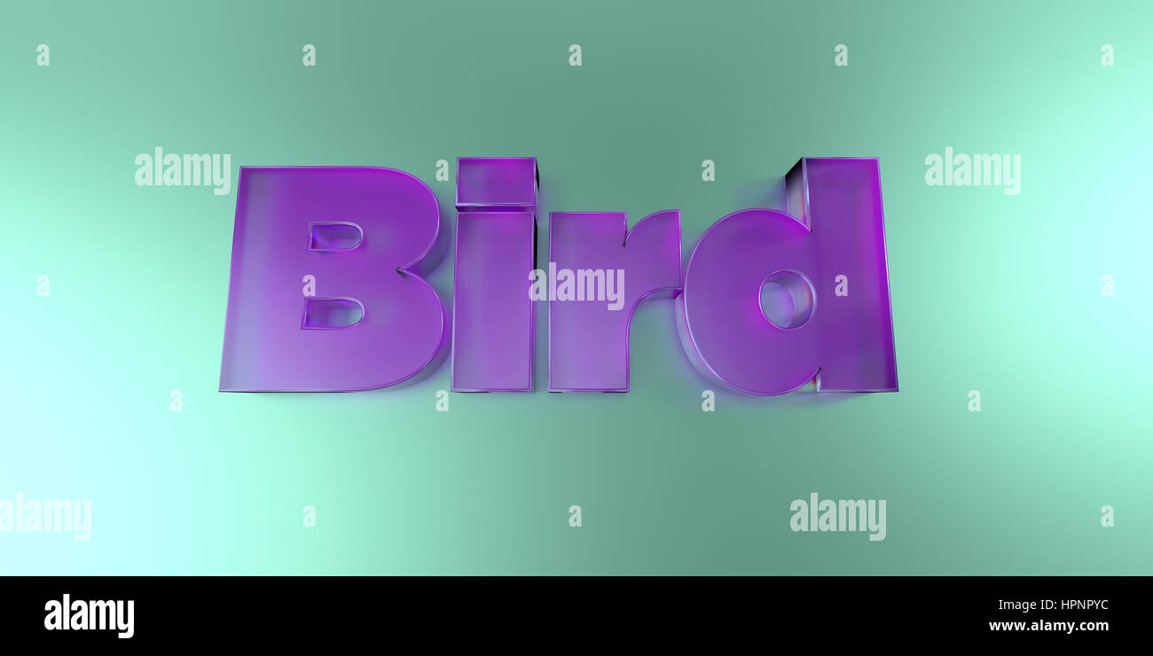 Bird - colorful glass text on vibrant background - 3D rendered royalty ...