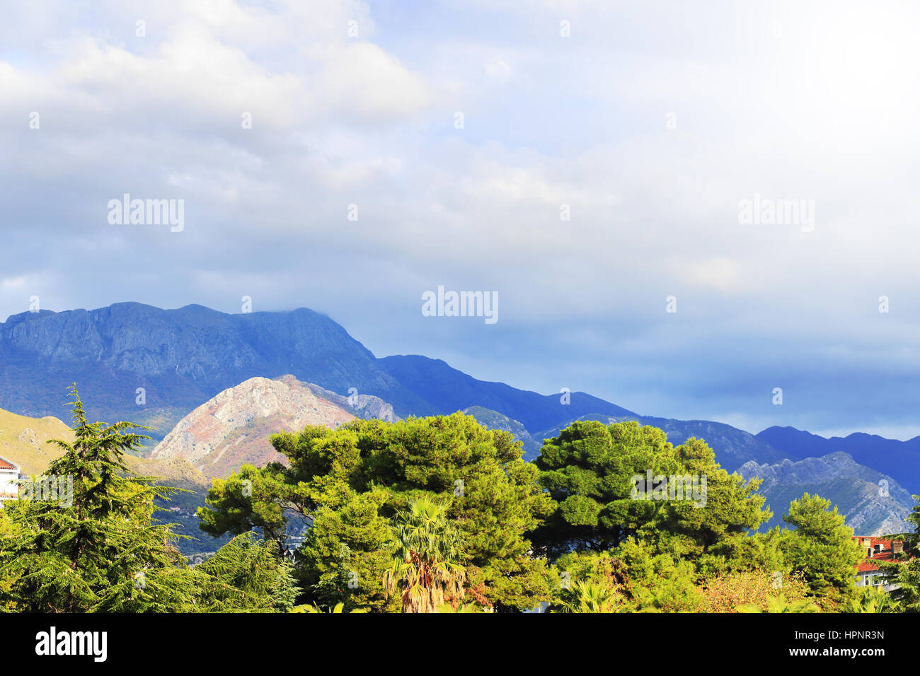 Green upper branches of tree on a cloudy mountain background Stock ...