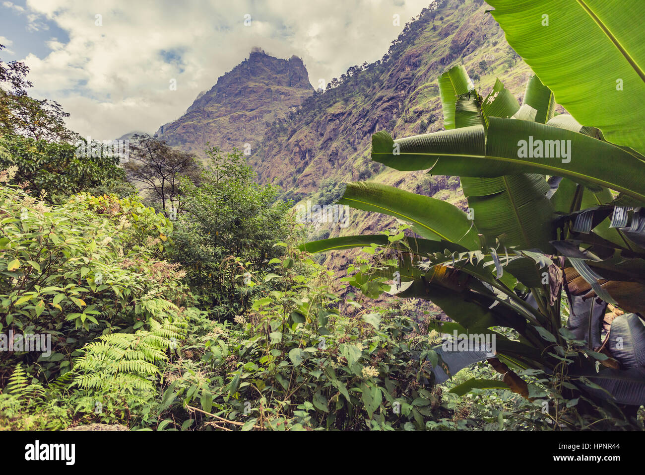 Beautiful Himalayan Inspirational Landscape. Looking and Mountains and ...