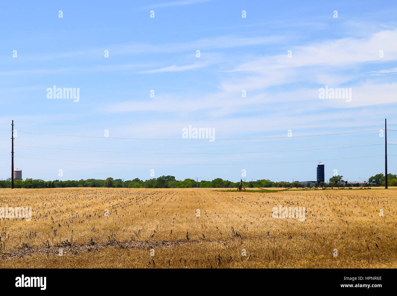 Halstead meadow hi-res stock photography and images - Alamy