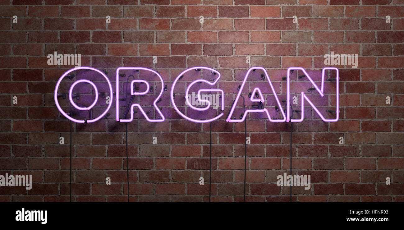 ORGAN - fluorescent Neon tube Sign on brickwork - Front view - 3D ...