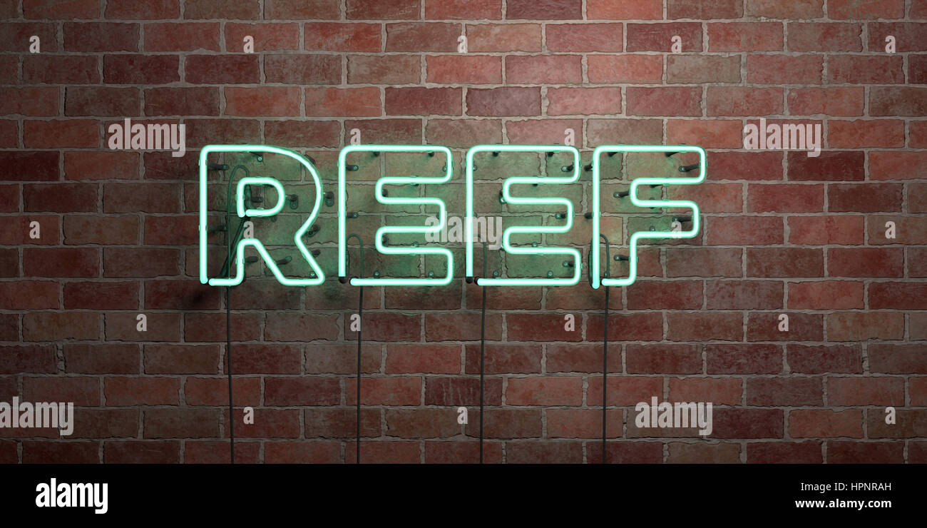 REEF - fluorescent Neon tube Sign on brickwork - Front view - 3D ...