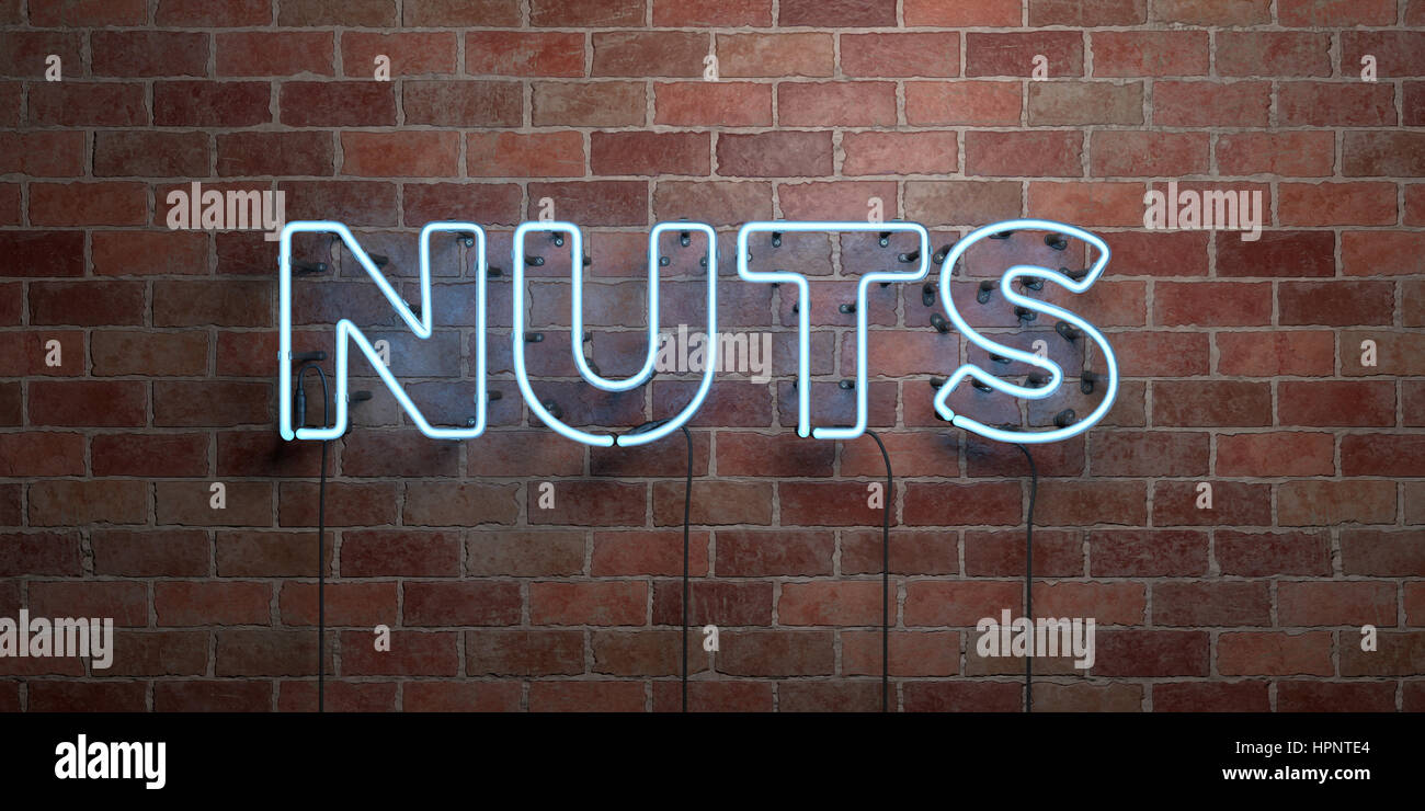 NUTS - fluorescent Neon tube Sign on brickwork - Front view - 3D ...