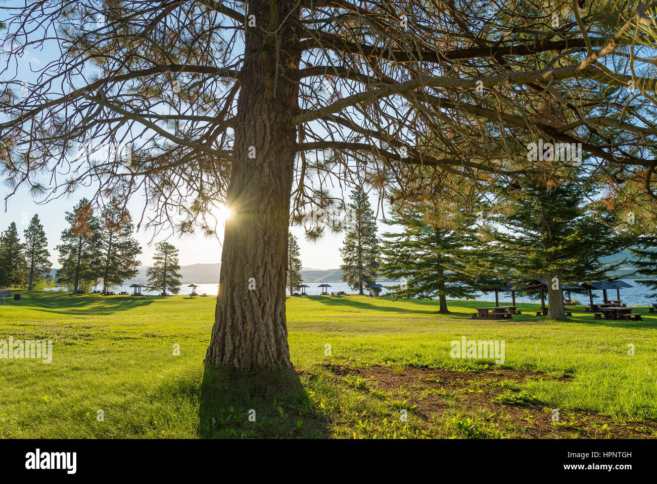 Monck Provincial Park, near Merritt, British Columbia, Canada Stock ...