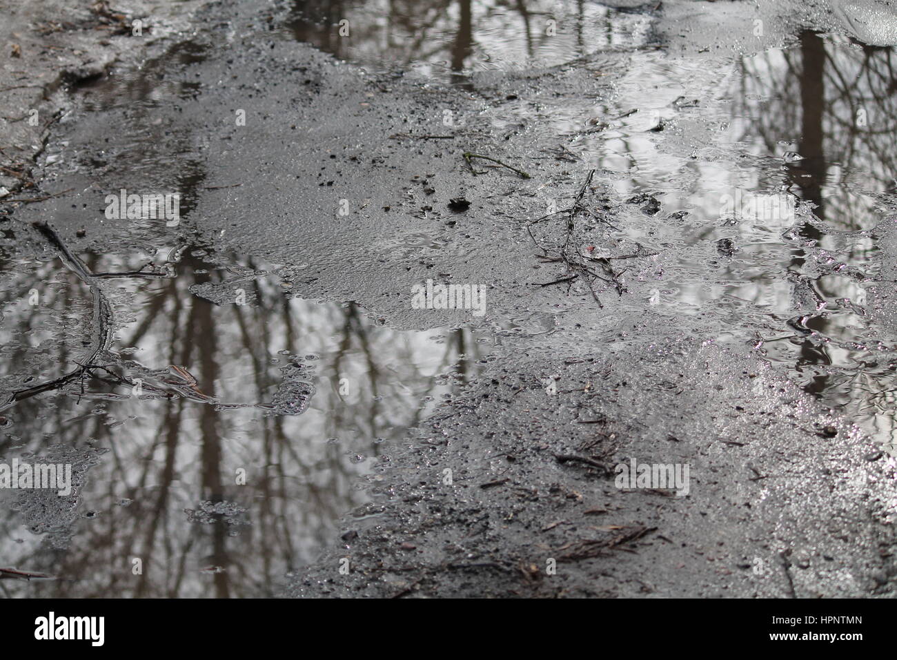 Plant rain puddle hi-res stock photography and images - Alamy
