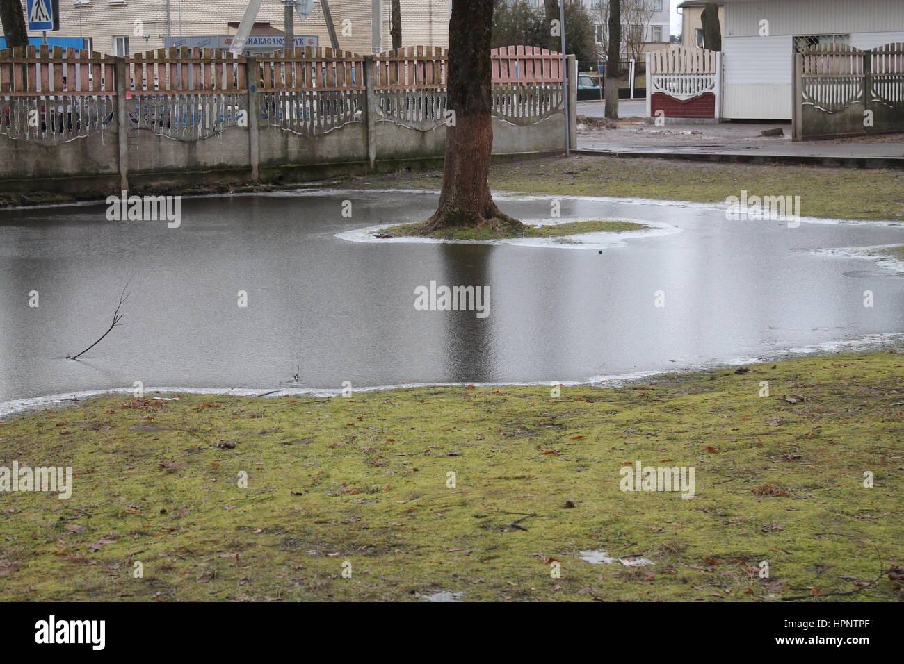 puddle in city park after spring rain covered thin shine ice Stock ...