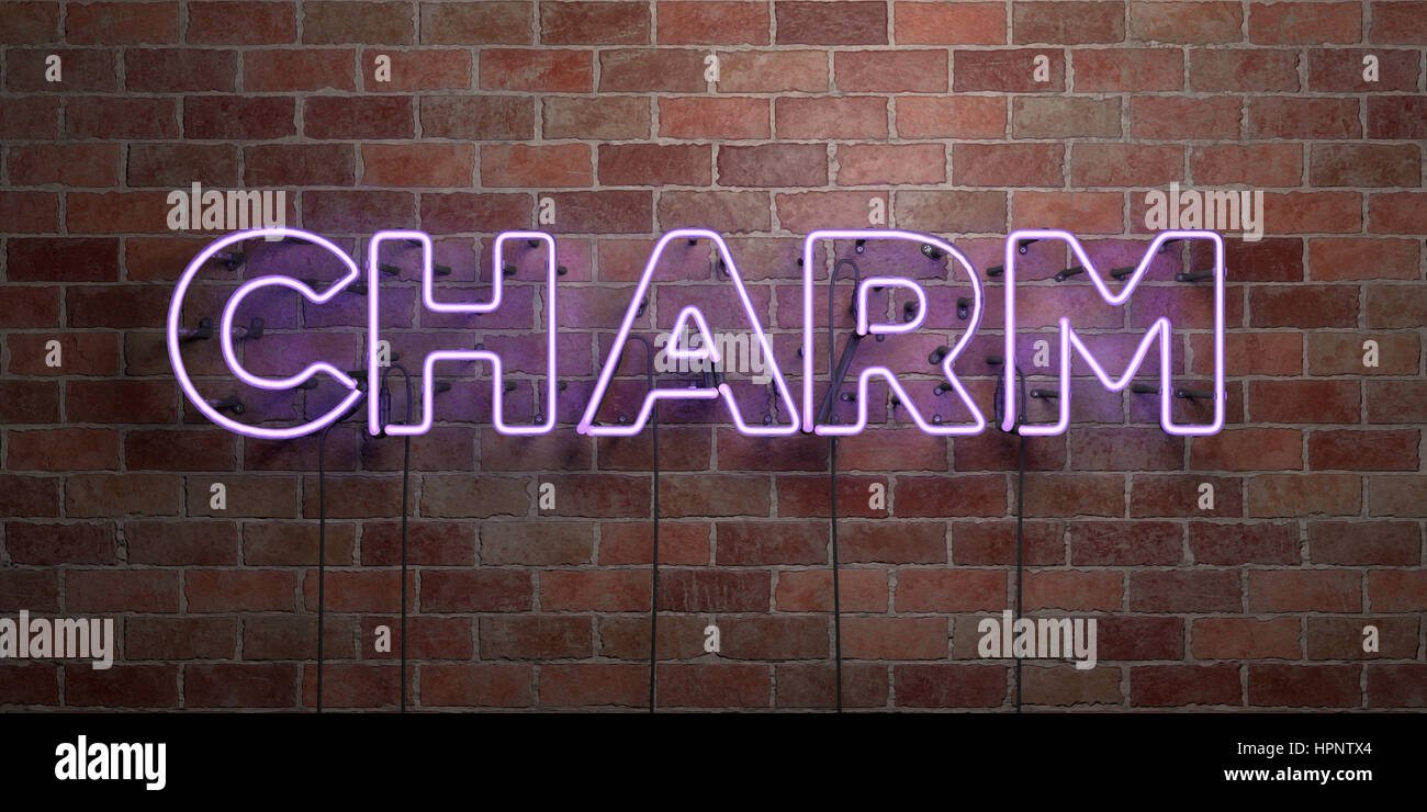 CHARM - fluorescent Neon tube Sign on brickwork - Front view - 3D ...