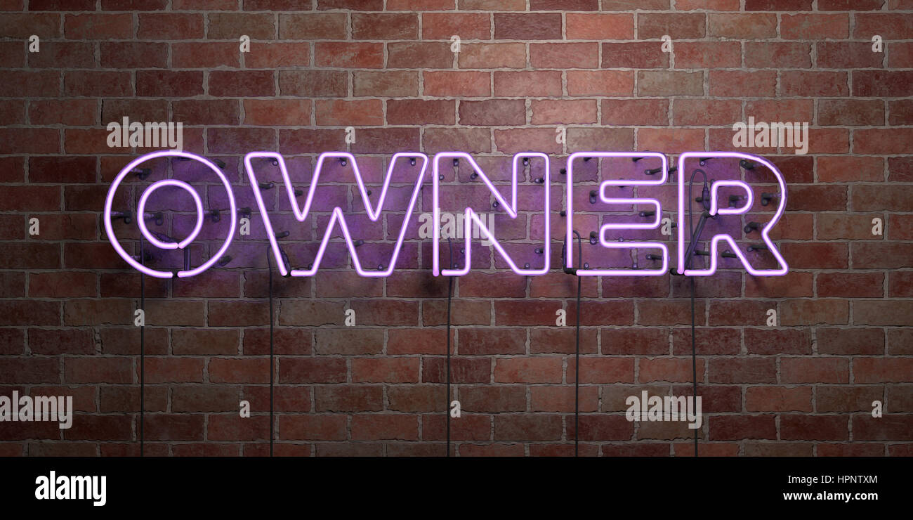 OWNER - fluorescent Neon tube Sign on brickwork - Front view - 3D ...