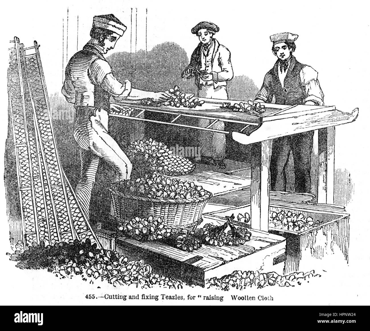 Cotton carding hi-res stock photography and images - Alamy