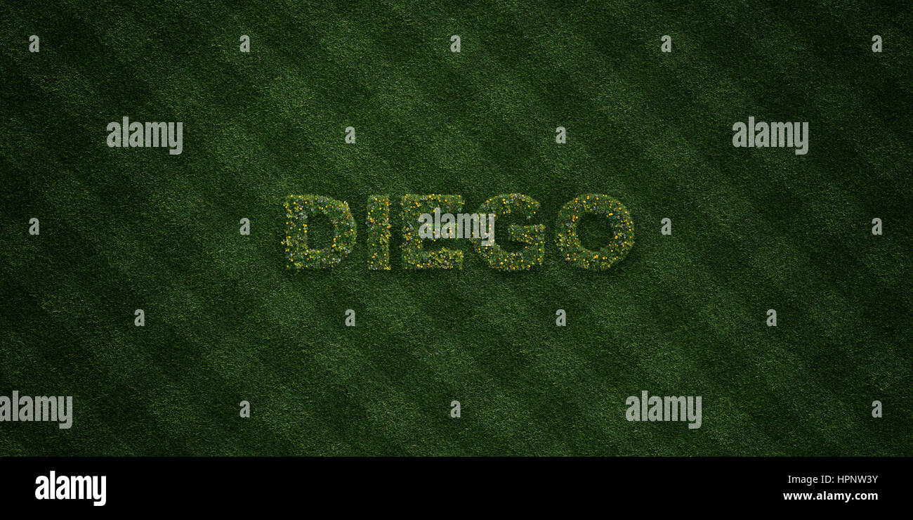 DIEGO - fresh Grass letters with flowers and dandelions - 3D rendered ...