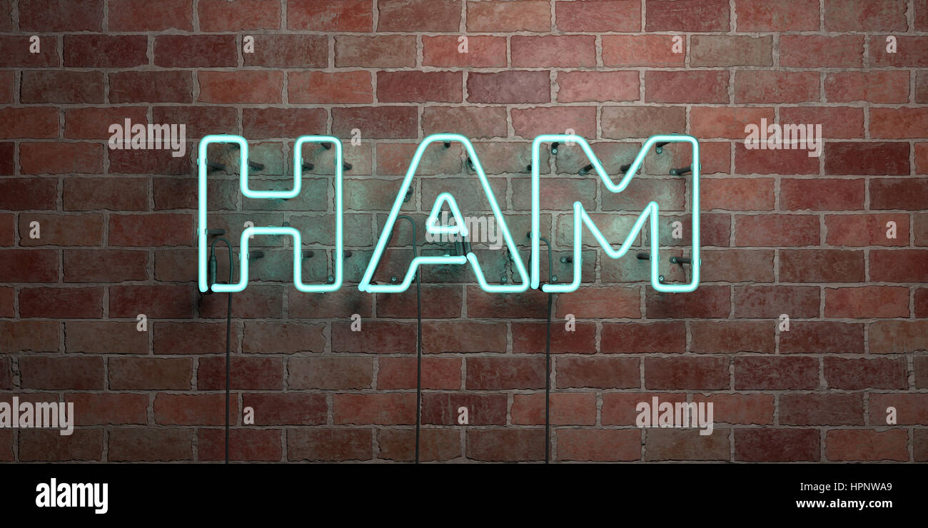 HAM - fluorescent Neon tube Sign on brickwork - Front view - 3D ...