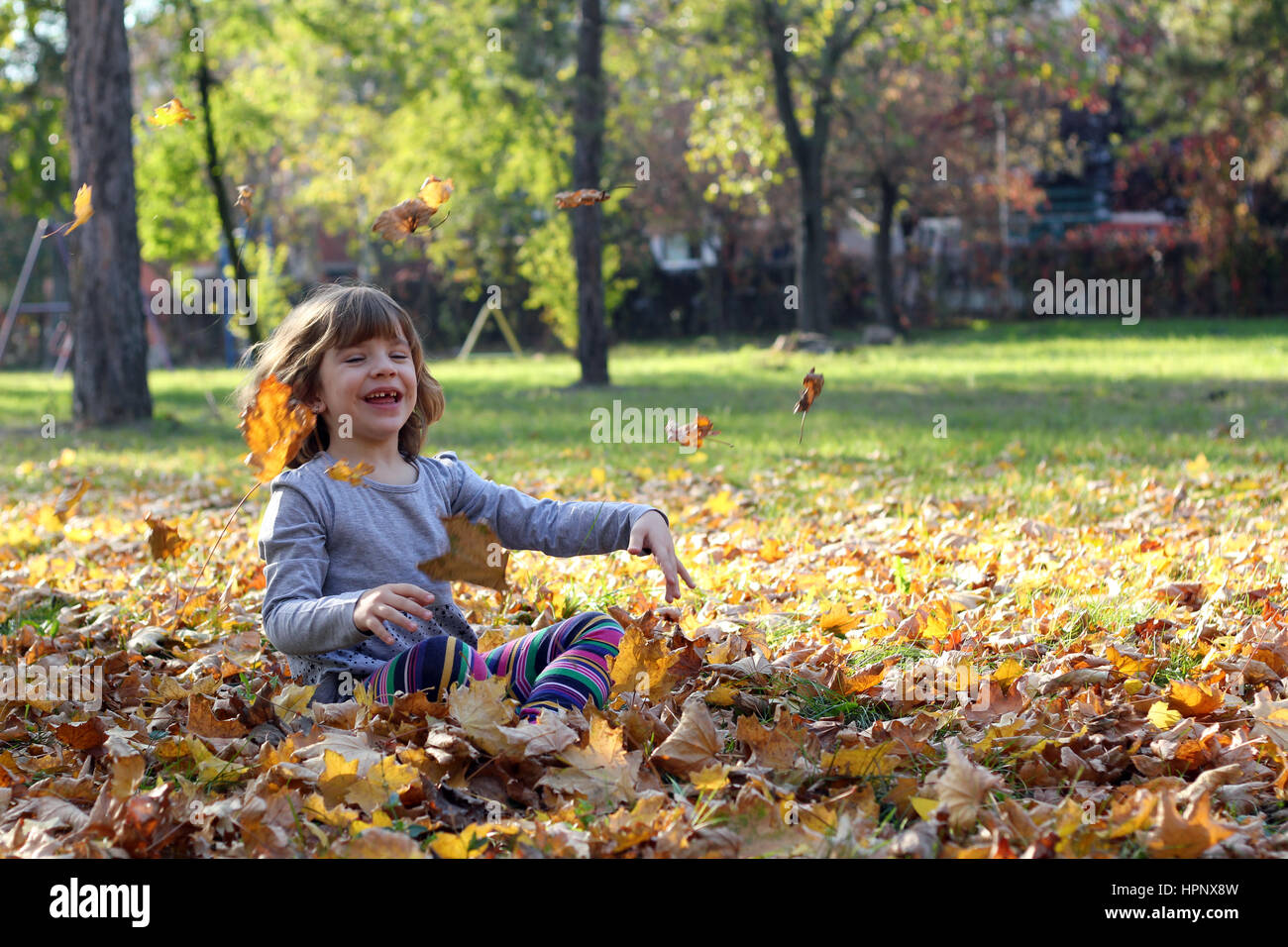 happy little girl throws autumn leaves Stock Photo - Alamy