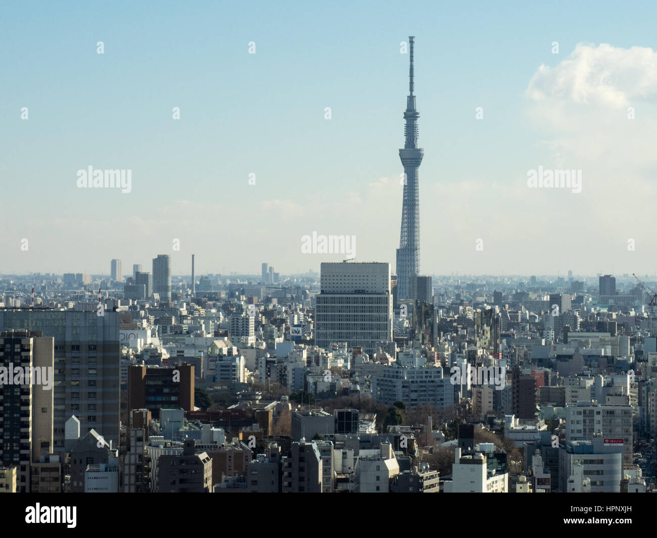 Aerial view of the Tokyo skyline dominated by the neofuturistic design ...