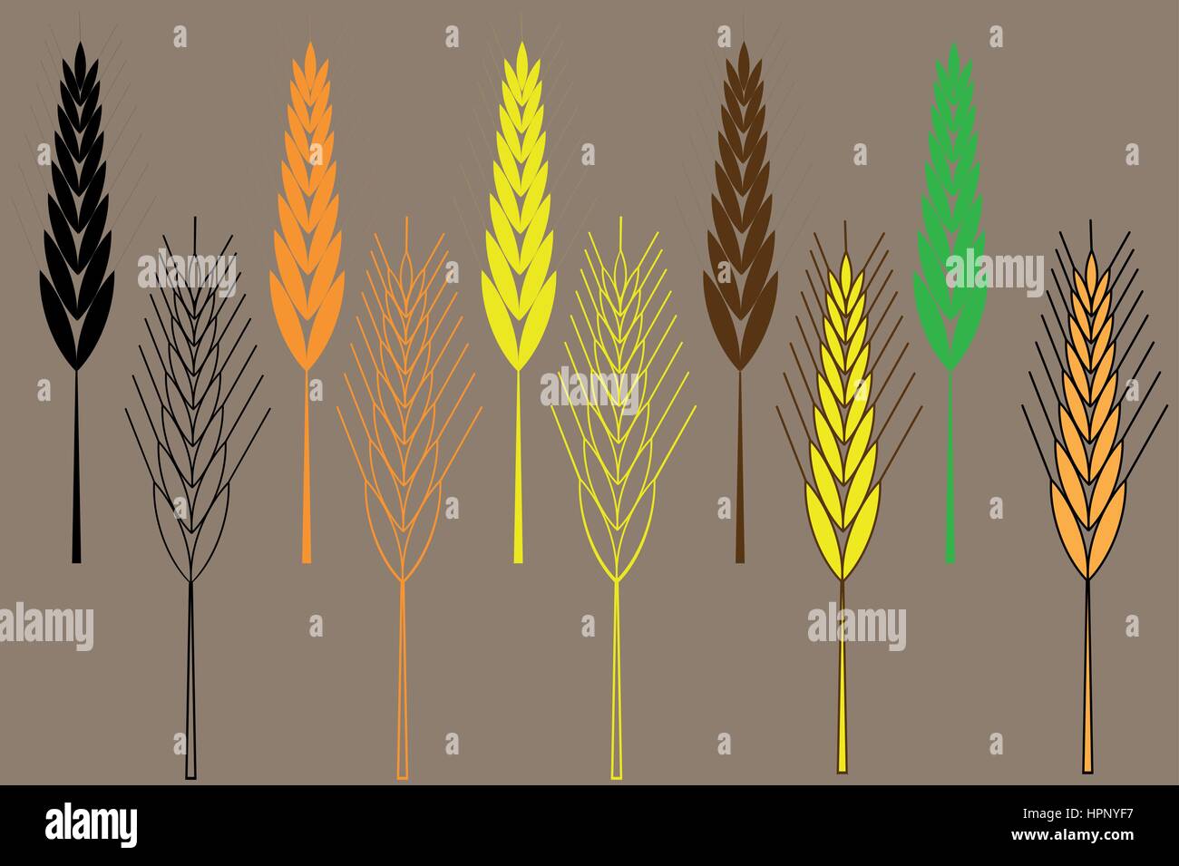 Background green ears wheat Stock Vector Images - Alamy