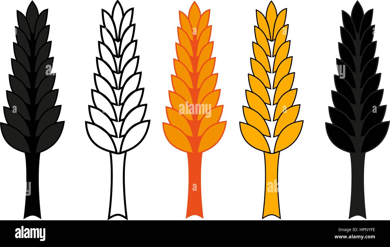 barley ear vector illustration, wheat ear icon set Stock Vector Image ...
