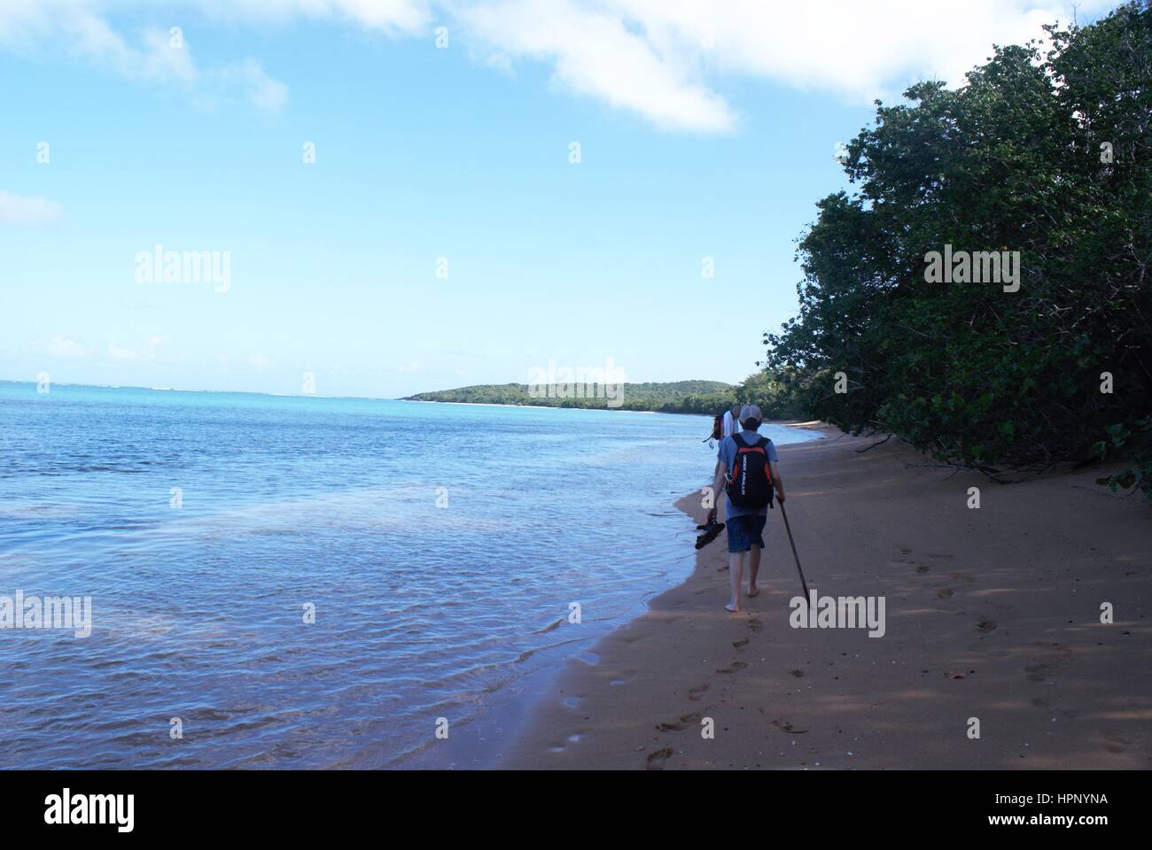 Walking on the Beach Stock Photo - Alamy