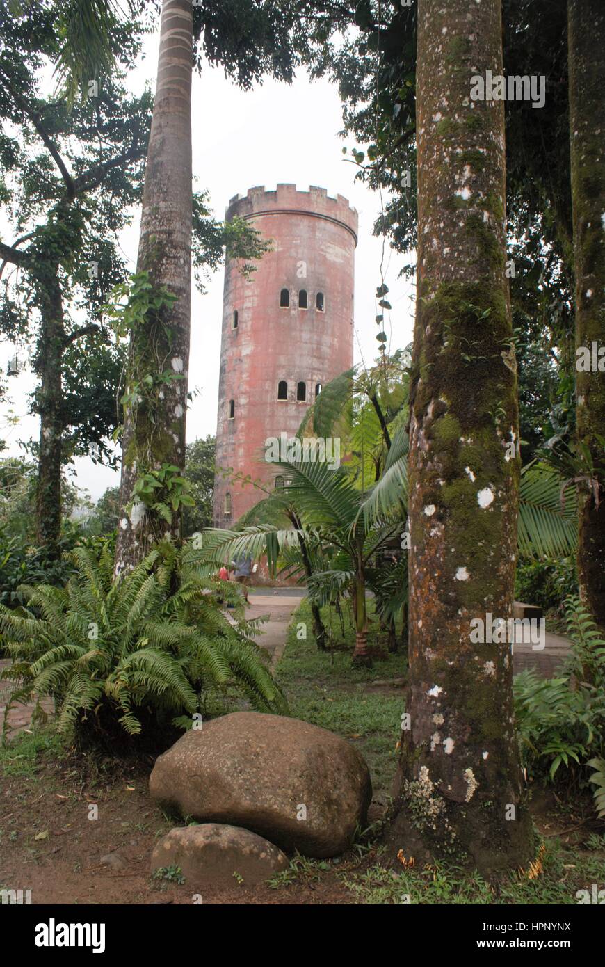 Tower in the Jungle Stock Photo - Alamy