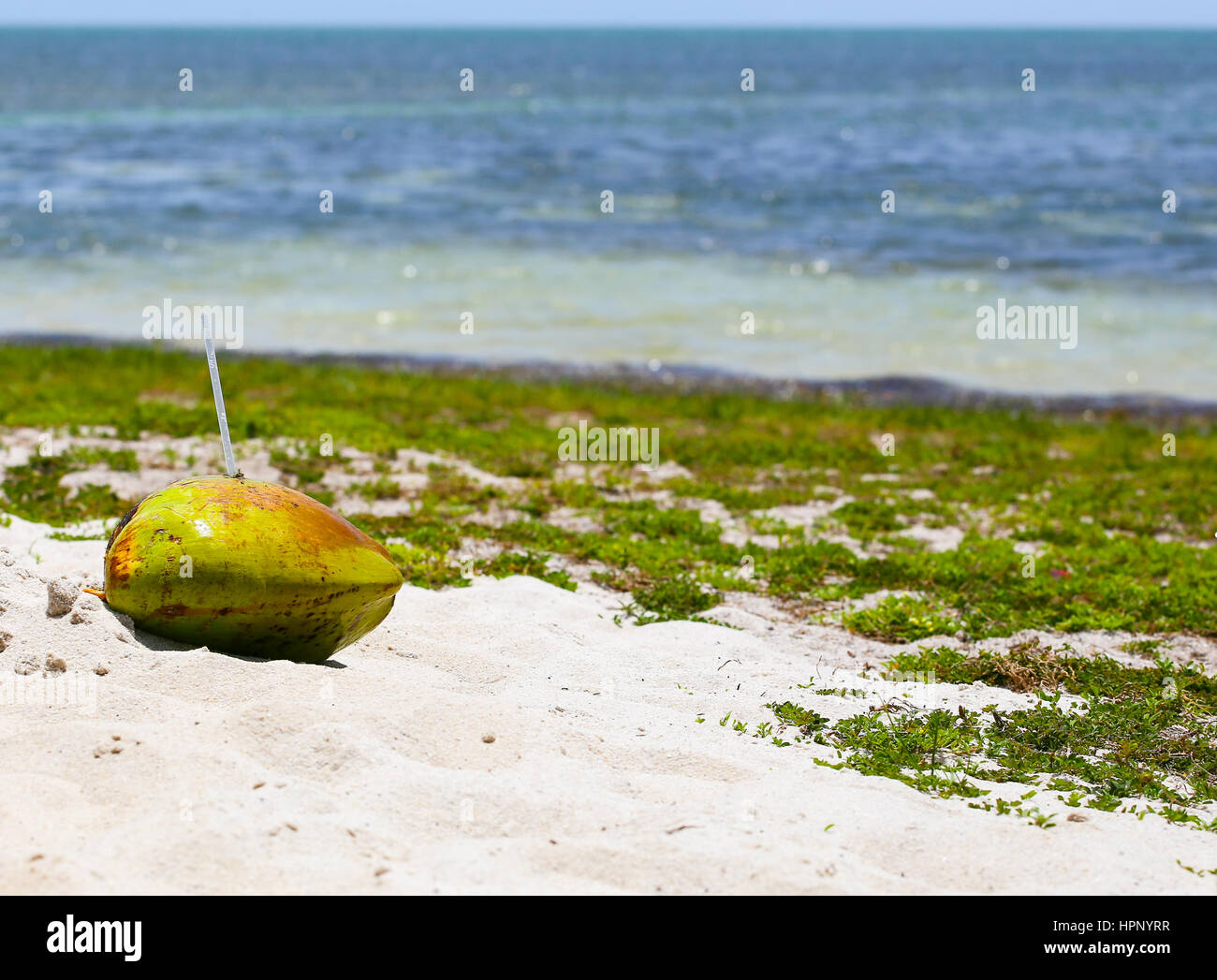 Coconut with a straw stuck into it lying in the sand on the beach of ...
