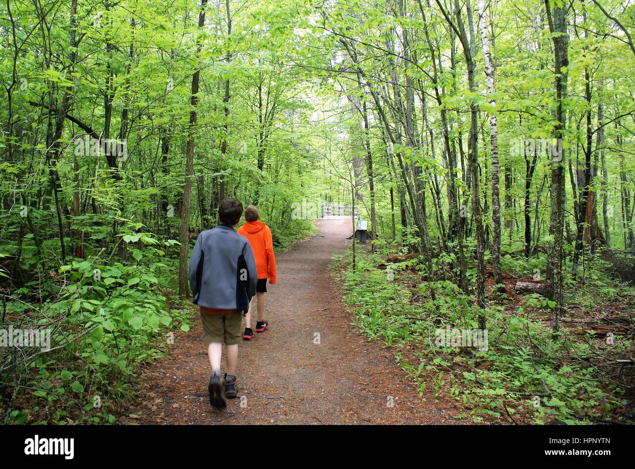 Kids hiking in woods hi-res stock photography and images - Alamy