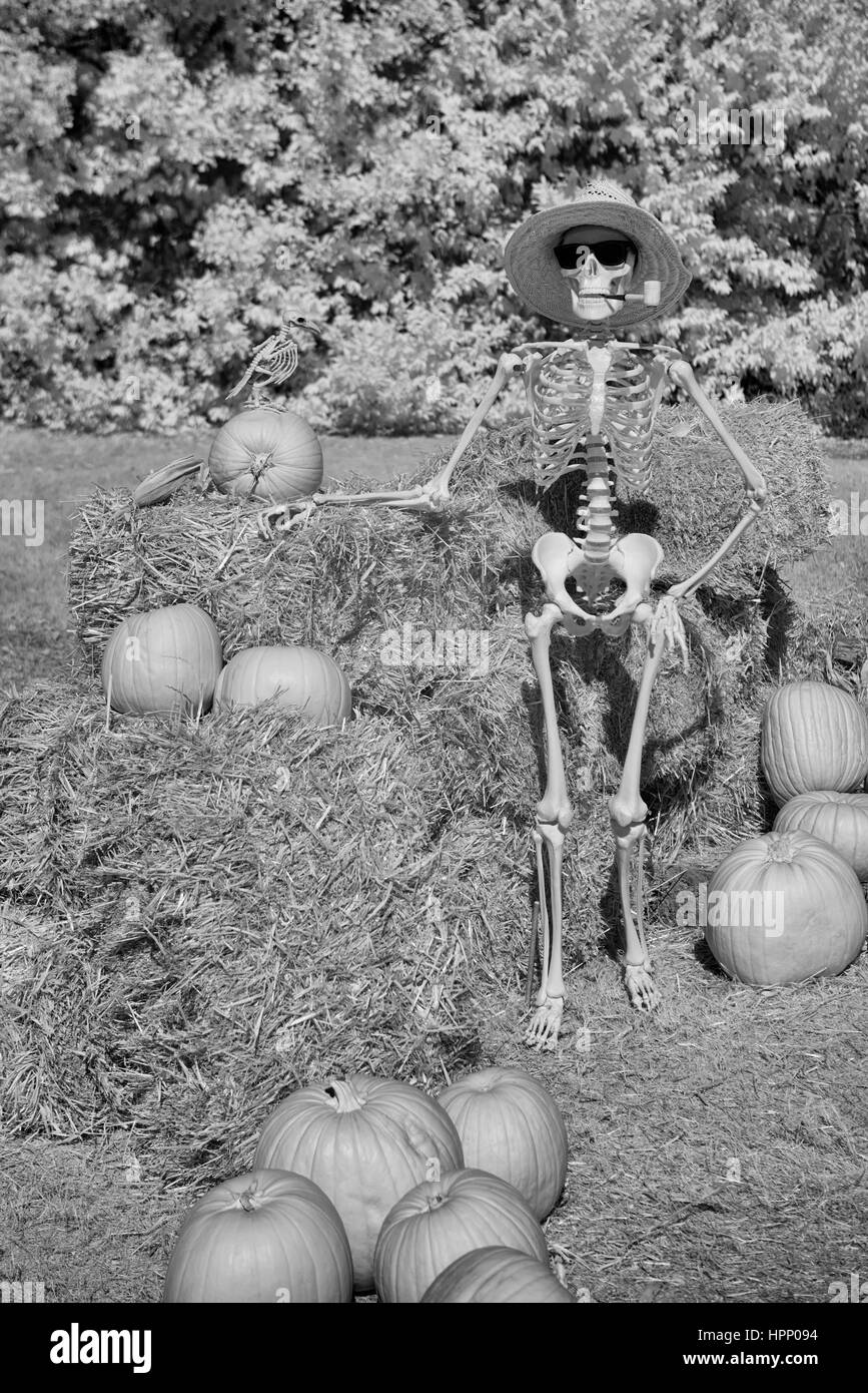 Comical halloween skeleton hi-res stock photography and images - Alamy